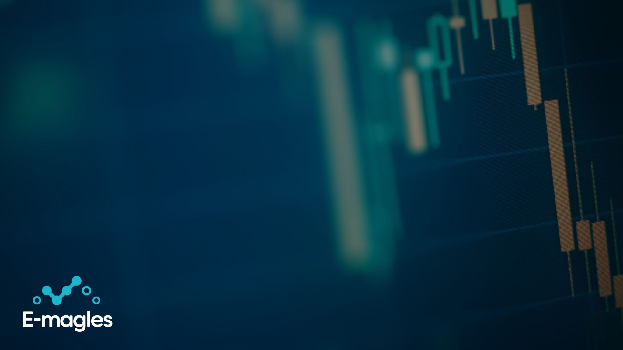 Software Solutions - EGID